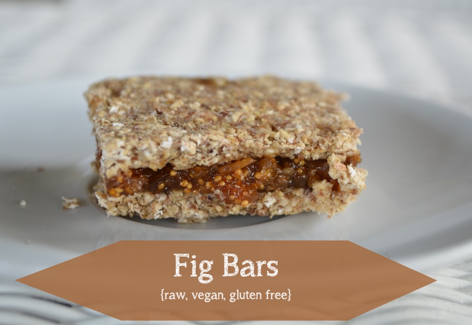 Recipe: Raw Fig Bars – My Vegan Adventures